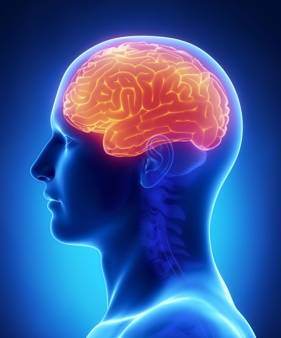 Scientists Have Figured Out How to Recover Forgotten Memories Still ...