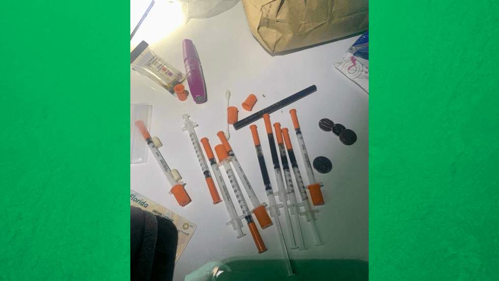 Mother-daughter duo nabbed in drug bust 'methed up and found out ...